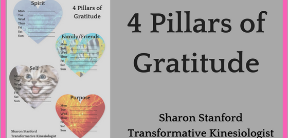 The 4 Pillars of Gratitude – Sharon Stanford – Kinesiology For Business